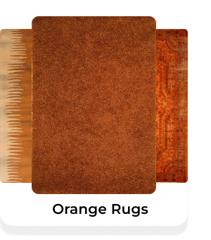 Explore our Rug Store & Get Upto 40% Discount Today